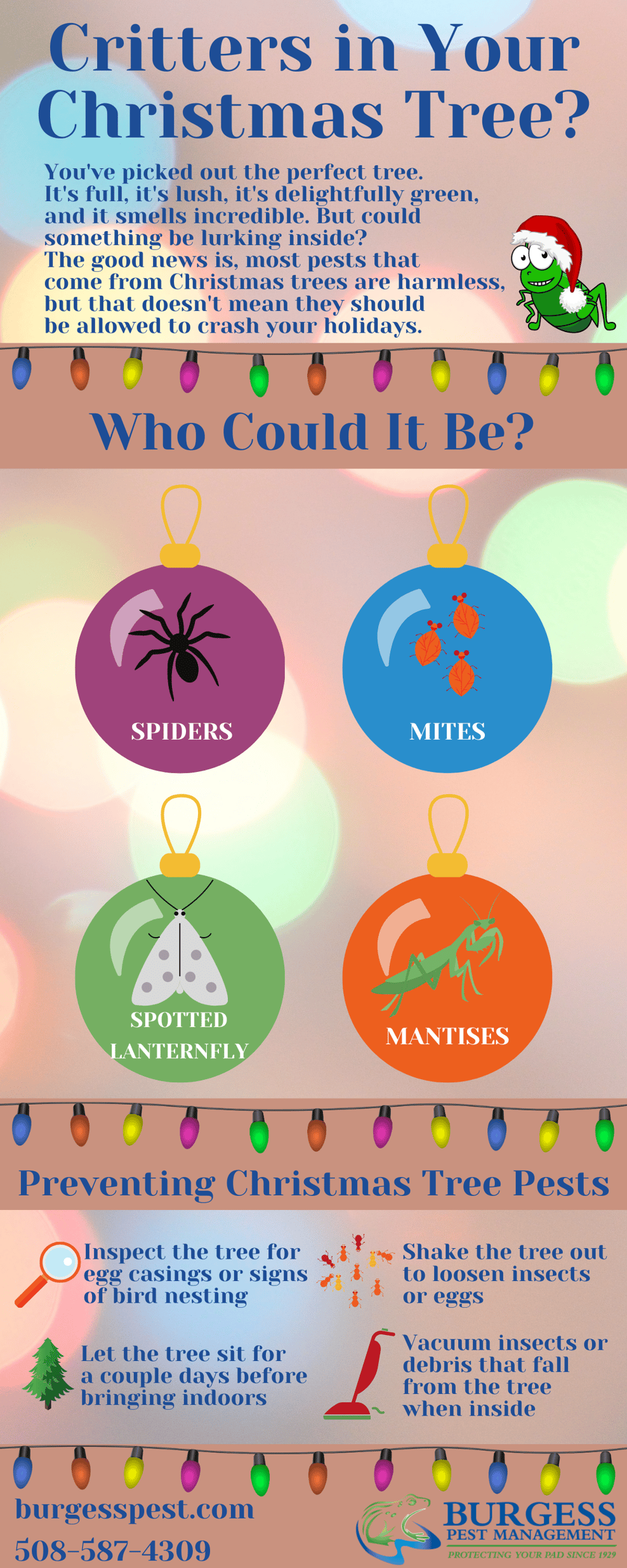 Christmas Tree Critters