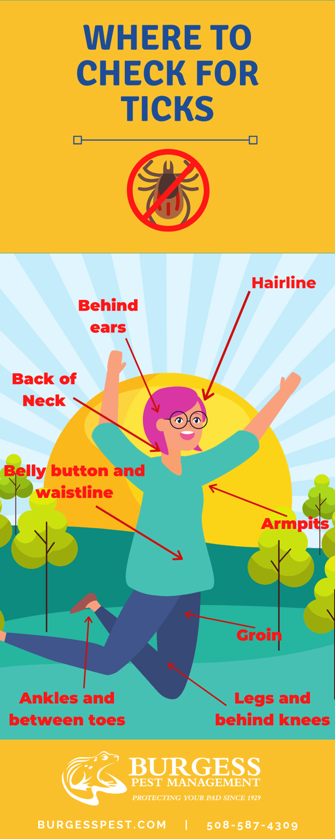 Where to Check for Ticks in Marshfield, MA