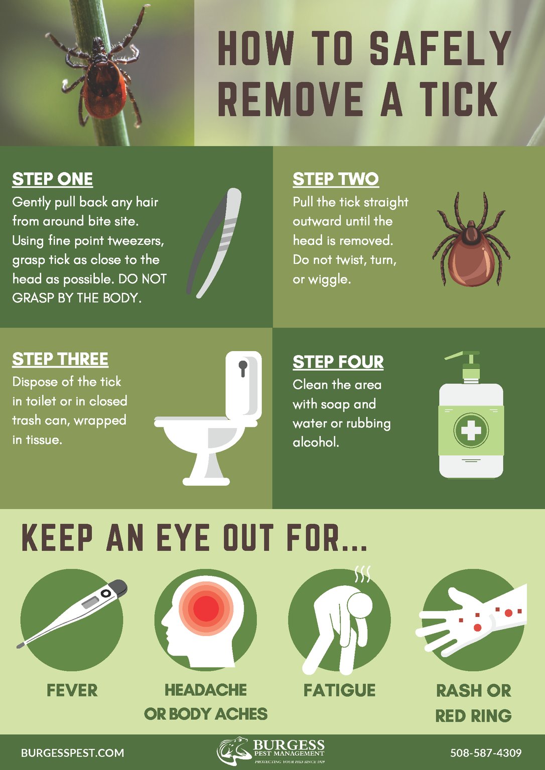 How To Safely Remove A Tick [INFOGRAPHIC]