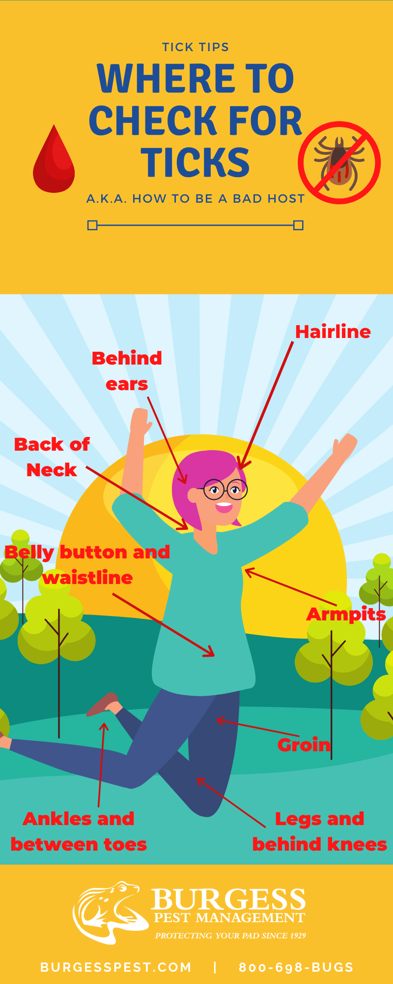 Where to Check for Ticks [INFOGRAPHIC]