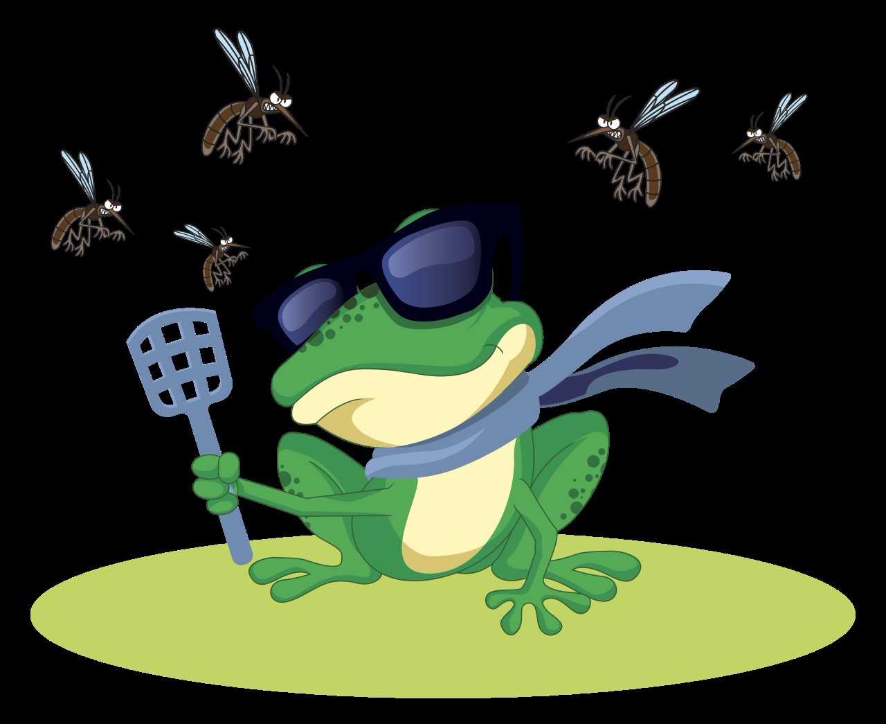 Massachusetts mosquito control season reaching its peak