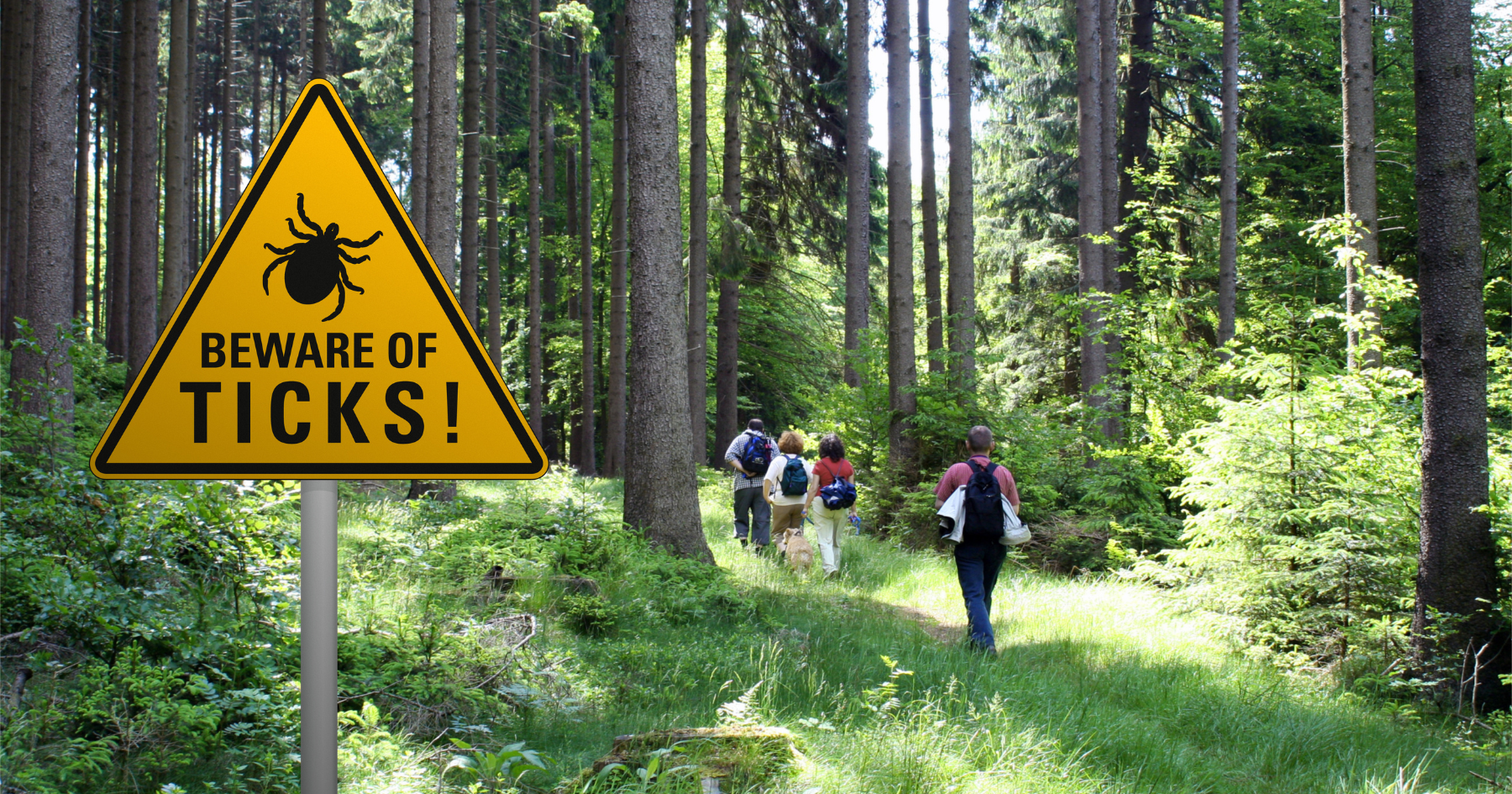 Tick Awareness Week 2025