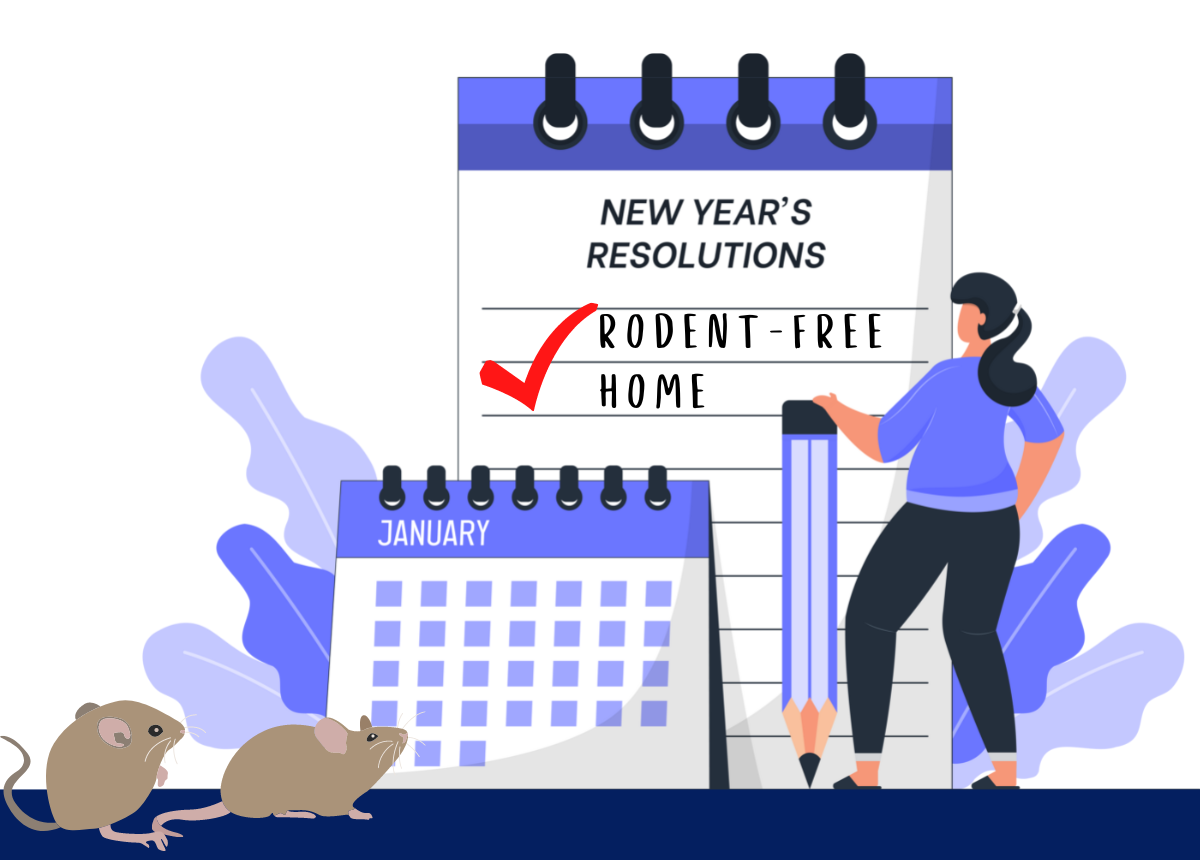 Resolutions for a Rodent-Free Home in 2023
