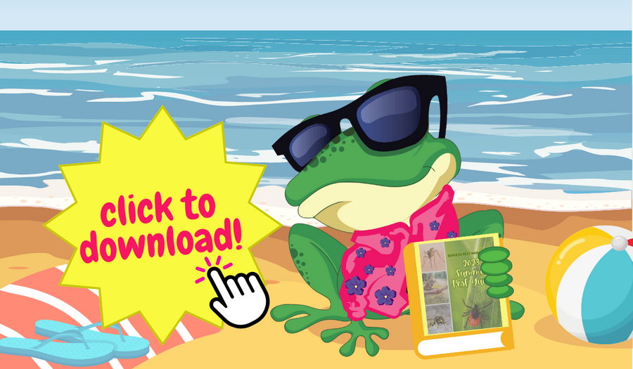 Summer Pest Control on Cape Cod: FREE Guidebook!