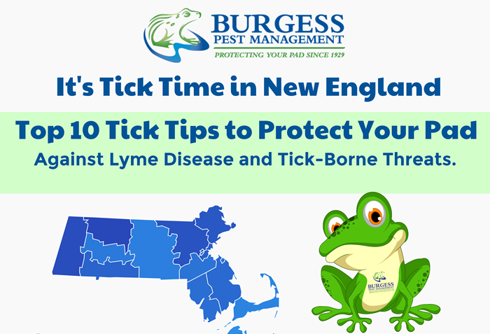 [Infographic] Top 10 Tick Tips to Protect Your Pad Against Lyme Disease ...